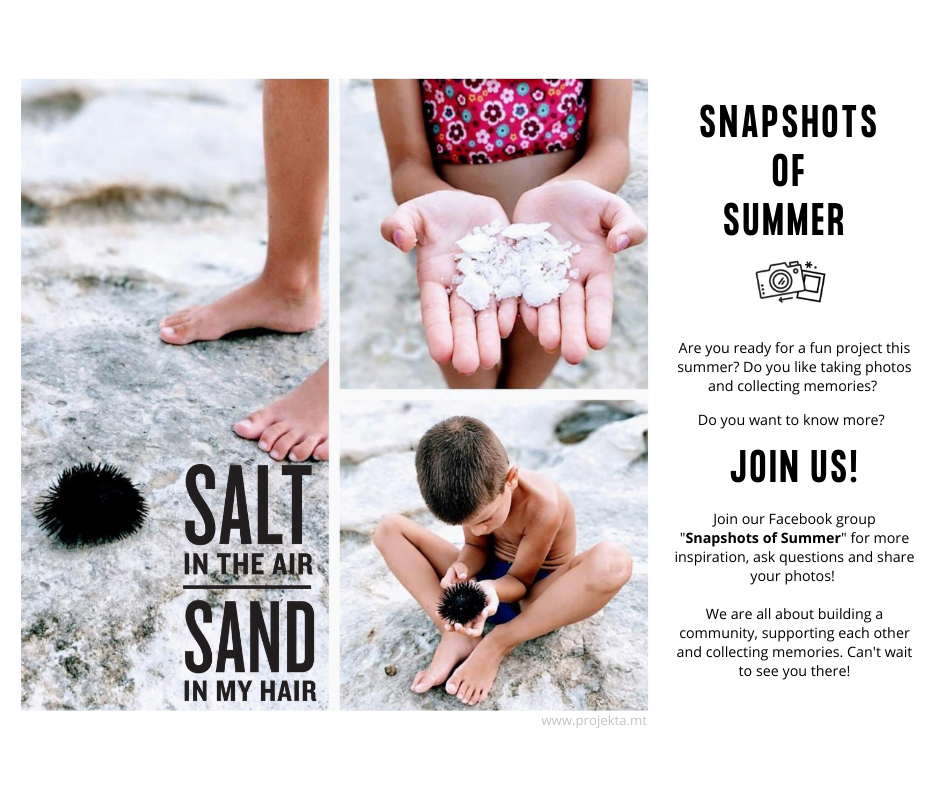 Snapshots of Summer - Projekta